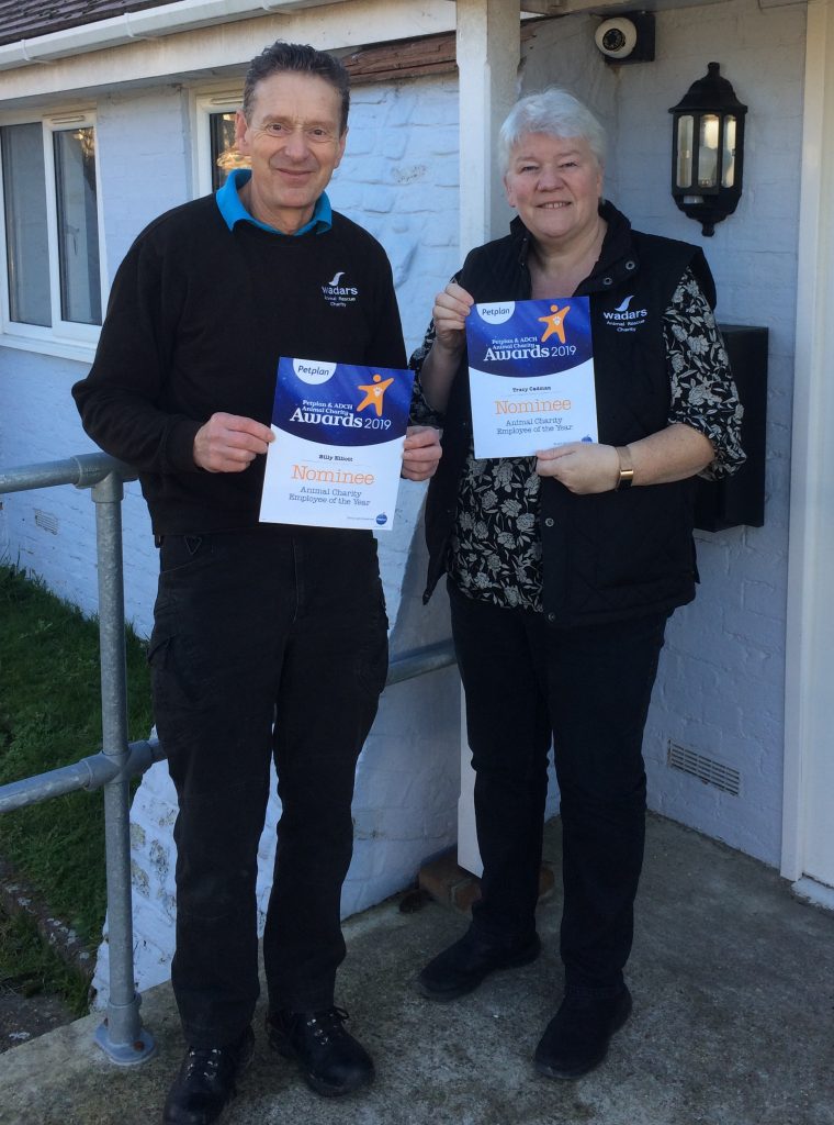 Wadars staff nominated in national charity awards - Wadars