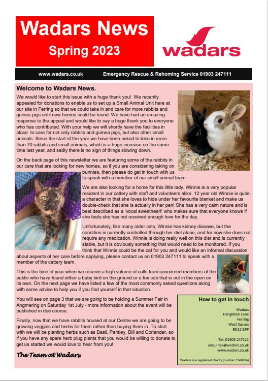 Latest News - Wadars